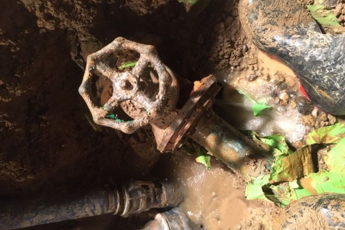 Guide to Cloudy Water